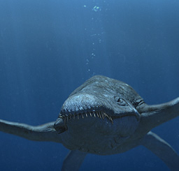 max. Größe (in Metern)